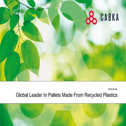Global leader in pallets made from recycled plastics | PPT