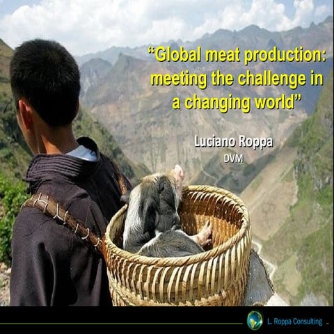 Global meat production to 2019, meat, challenges, trends, main meat ...