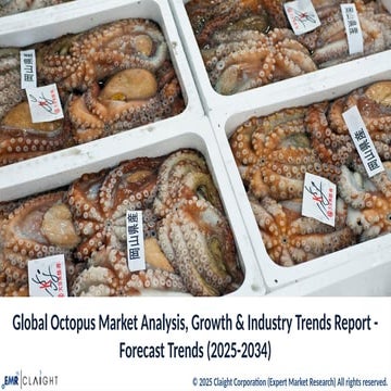 Global Octopus Market Share, Size & Insights (2025-2034) | PPT