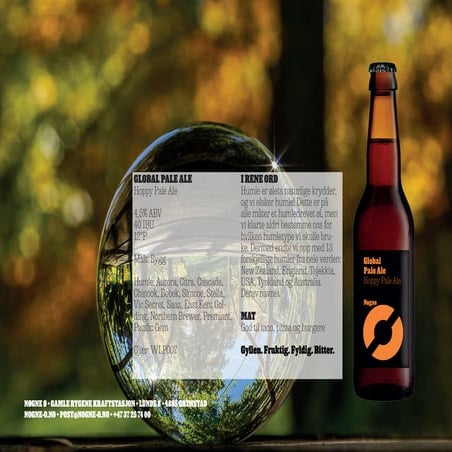 Global Pale Ale | PDF