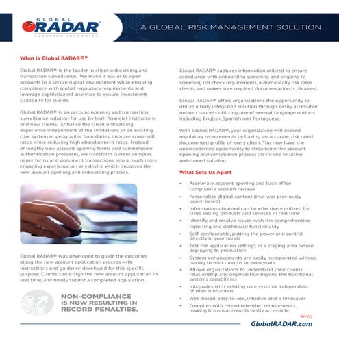 Global radar global-risk-management-solution | PDF | Financial Industry ...