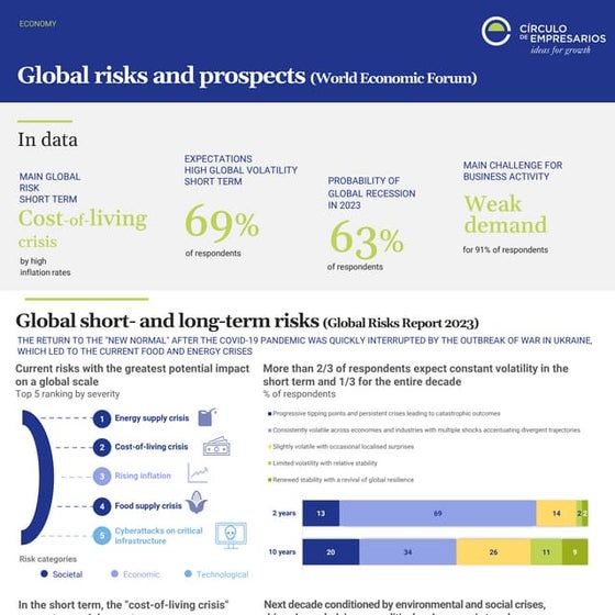 Developing an Emerging Risk Strategy | PPT