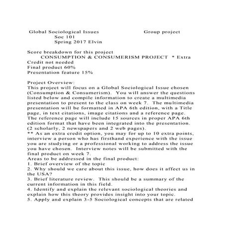 Global Sociological Issues Group project.docx