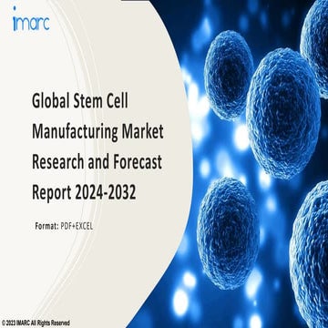 Stem Cell Manufacturing Market PPT: Overview, Dynamics, Trends ...