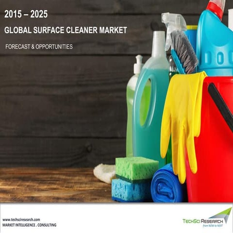 Surface Cleaner Market 2025 | PDF