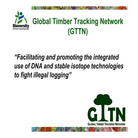 Global Timber Tracking Network | PDF