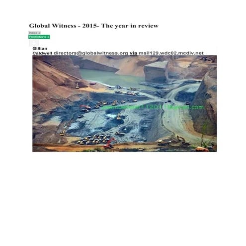 Global witness | PDF