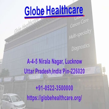 Globe Healthcare.pptx