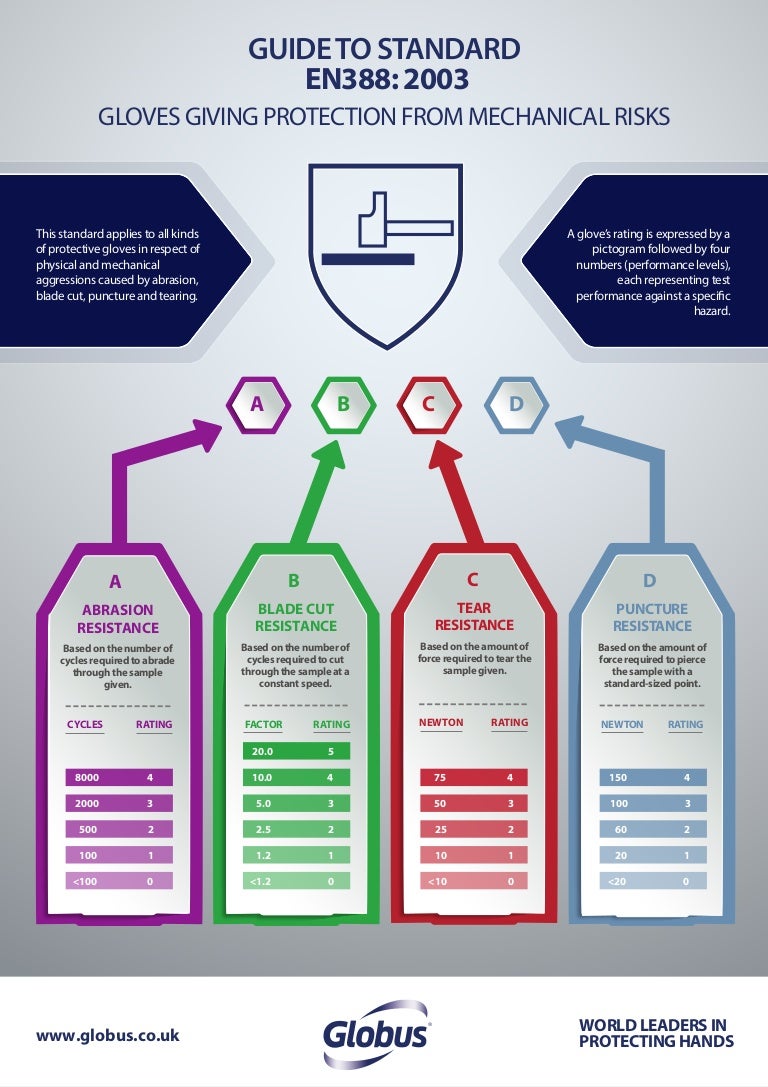 Guide to Standard EN388:2003 Infographic from Globus