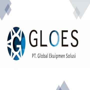 Comprehensive Business Model and Merger Strategy for Material Handling ...