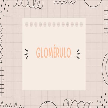 Presentación de Glomérulo (Histología Humana).pdf