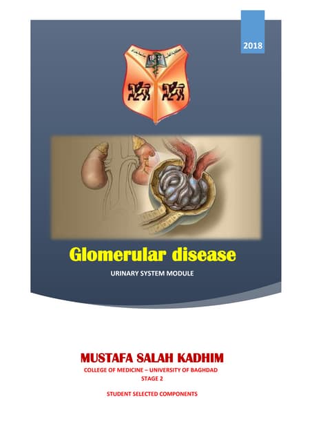 Glomerular diseases | PPT