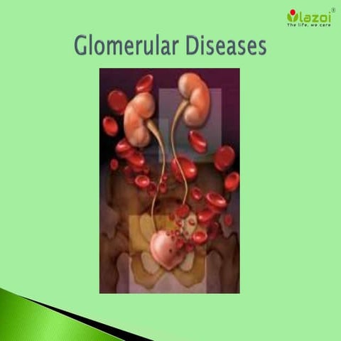 Glomerular diseases | PPTX