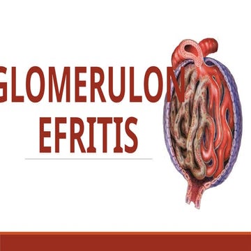 Glomerulonefritis - sindrom nefrotik Des 24.pptx