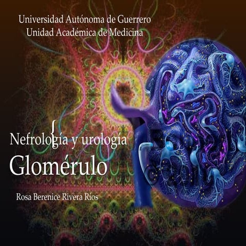 Glomerulo | PPTX