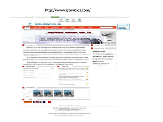 Myabudhabimassage | PPT