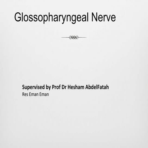 glossopharyngeal Nerve.pptx