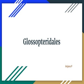 gymnosperm, Glossopteridales, Glossopteris | PPTX