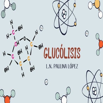 Glucólisis y sus generalidades, proceso de respiración celular | PDF