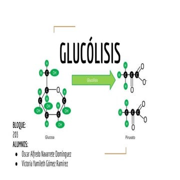 Glucolisis.pptx
