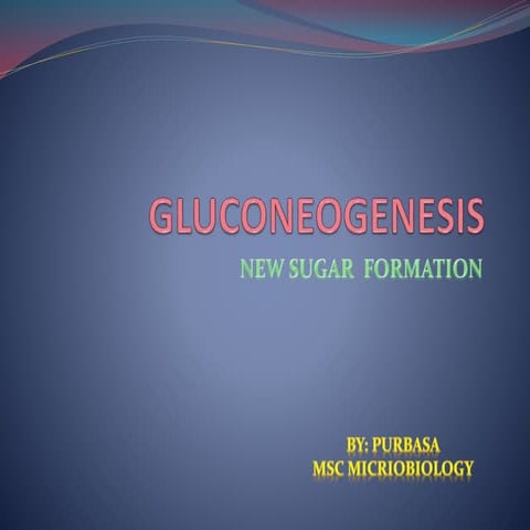 Gluconeogenesis- Steps, Regulation and clinical significance | PPT