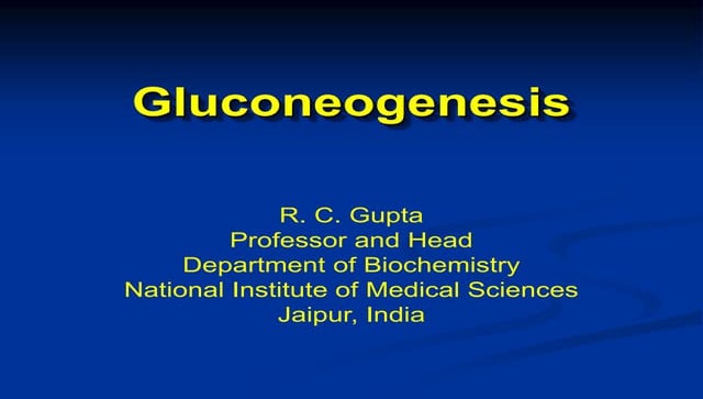 Gluconeogenesis Animation