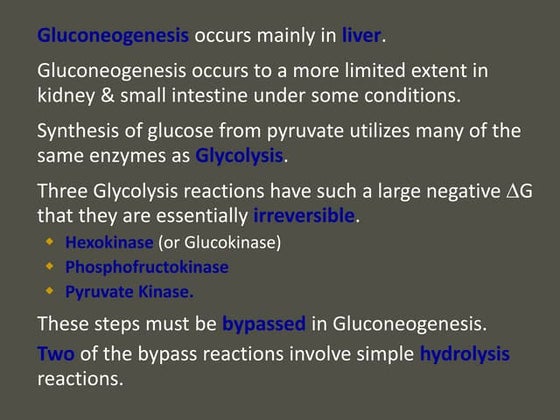 Gluconeogenesis - | PPSX