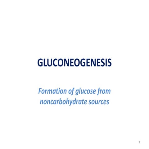 GLUCONEOGENESIS 2.ppt