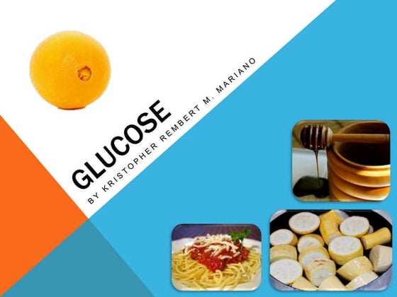 Physics Project Class 11 | DOCX