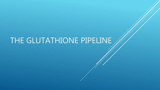 Protein Power Couples: How to Pair [INFOGRAPHIC] | PDF