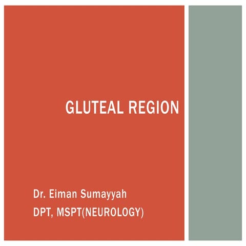 Gluteal region | PPTX