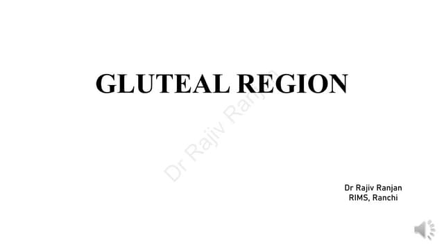 Histology of Cervix and vagina | PDF