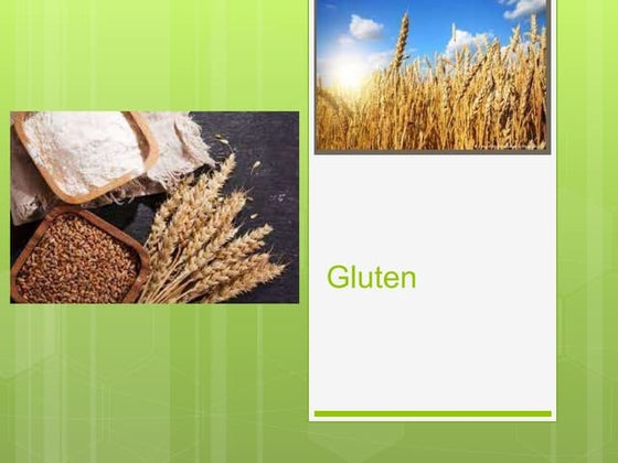 Gluten | PPTX