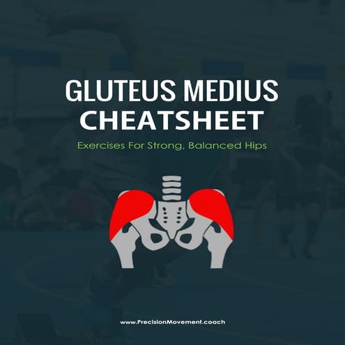 Gluteus medius-exercises-cheatsheet-p mc | PDF