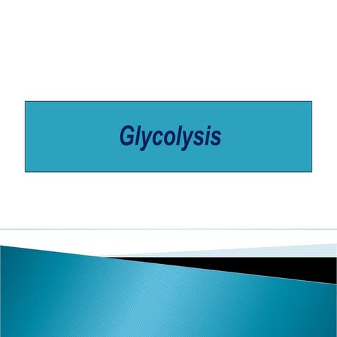 Glycolysis | PPT