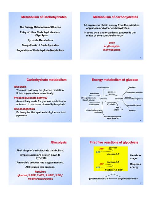 Biosynthesis of sucrose and starch | PDF | Chemistry | Science