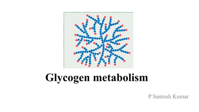 glycogenesis and glycogenolysis | PPTX