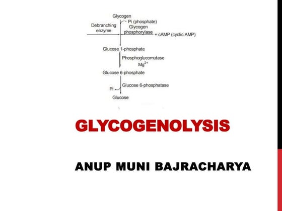 GLYCOGENESIS | PPT