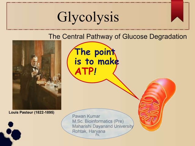 Glycolysis | PPTX