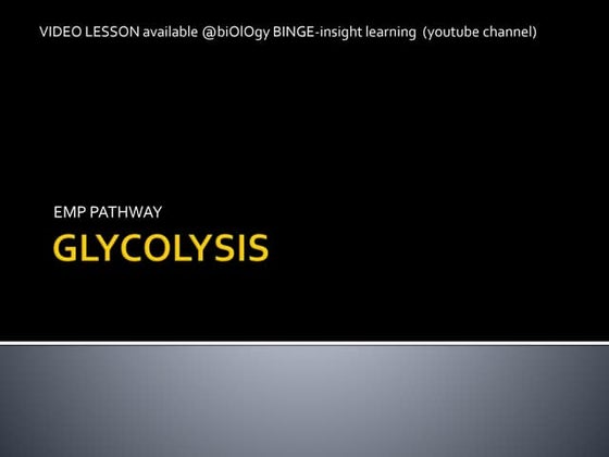 Glycolysis revision slides | PPT