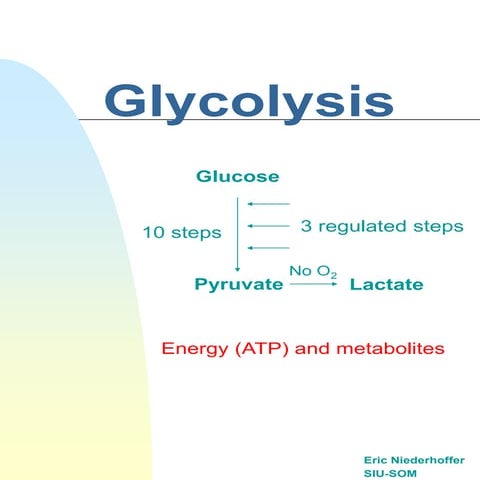 glycolysis.ppt | Chemistry | Science