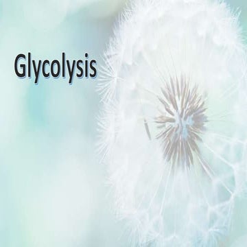 Glycolysis biology for engineer 2nd year.pptx