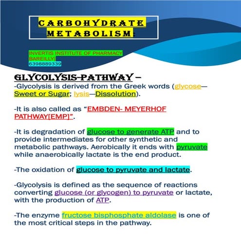 Glycolysis Pathway - Biochemistry (203T) | PDF