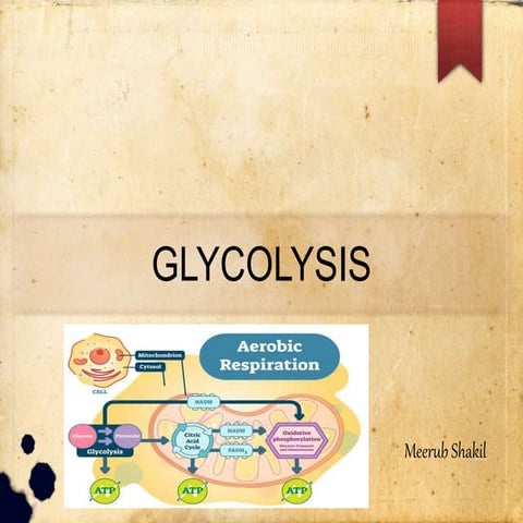 Glycolysis presentation | PPT