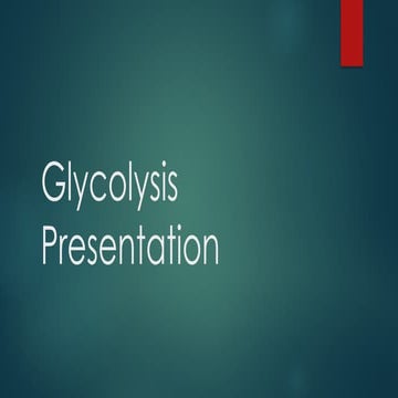 Glycolysis Presentation - CHO Metabolism | PPTX