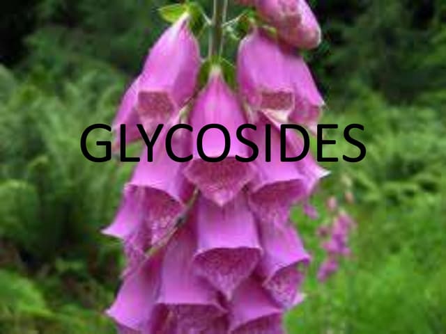 Classification of Glycosides | PPTX
