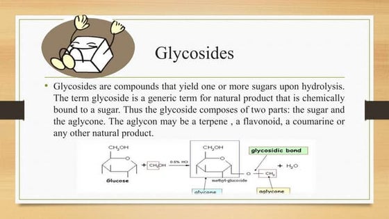 Glycosides | PPTX | Chemistry | Science