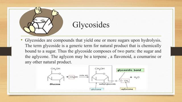 Glycosides | PPTX | Chemistry | Science