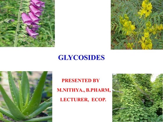 Glycosides | PPTX | Chemistry | Science