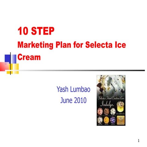 10 step by step marketing plan selecta ice cream | PPT
